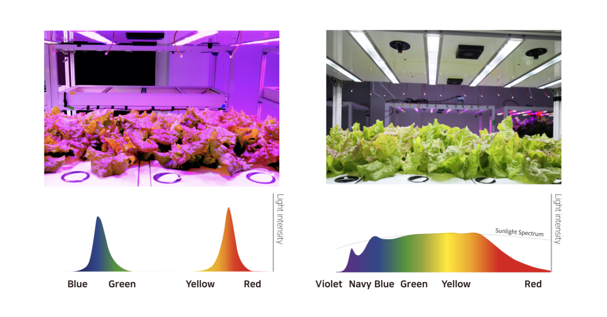 Seoul Semiconductor’s SunLike Natural Sun Spectrum LED Technology ...
